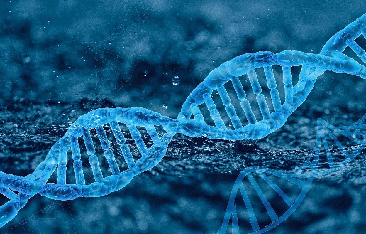 Do We Inherit Memories from our Ancestors? | Basildon Heritage